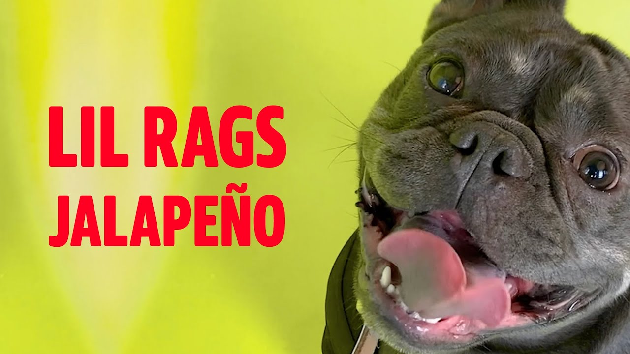 Lil Rags - Jalapeño (Official Video) - YouTube
