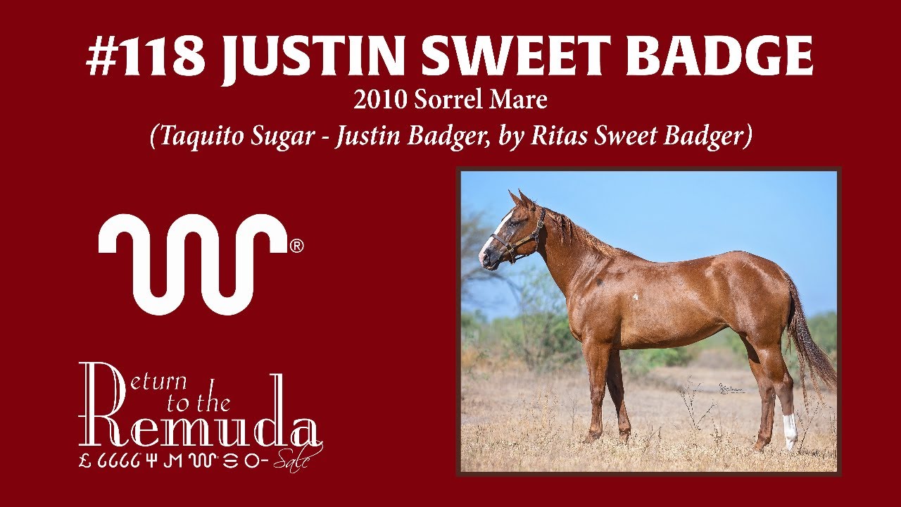 RTTR 2023 - Hip 118 Justin Sweet Badge - YouTube