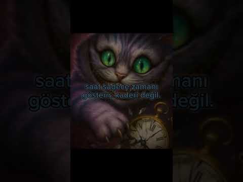 tüm yollar romaya gider. ya peki Roma'dan gitmeye başlarsan?.. #meme