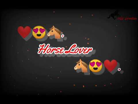 horse Lover status 😍❤️.....