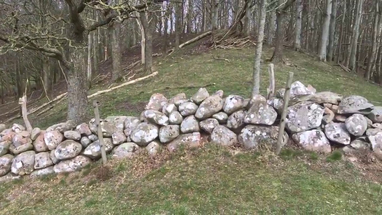 Grevie backar # 4" - YouTube