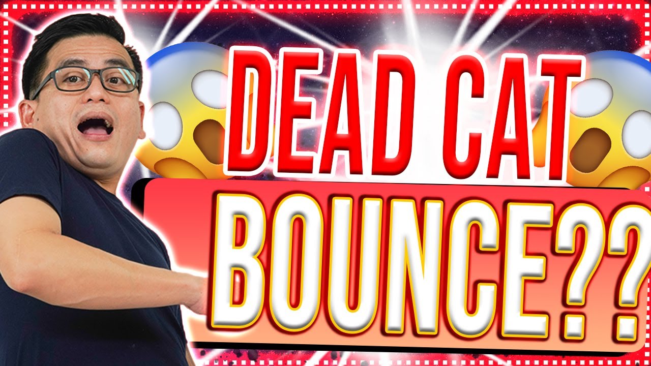 DEAD CAT BOUNCE?? | CRYPTO LIVE PILIPINAS AUGUST 22 2022 - YouTube