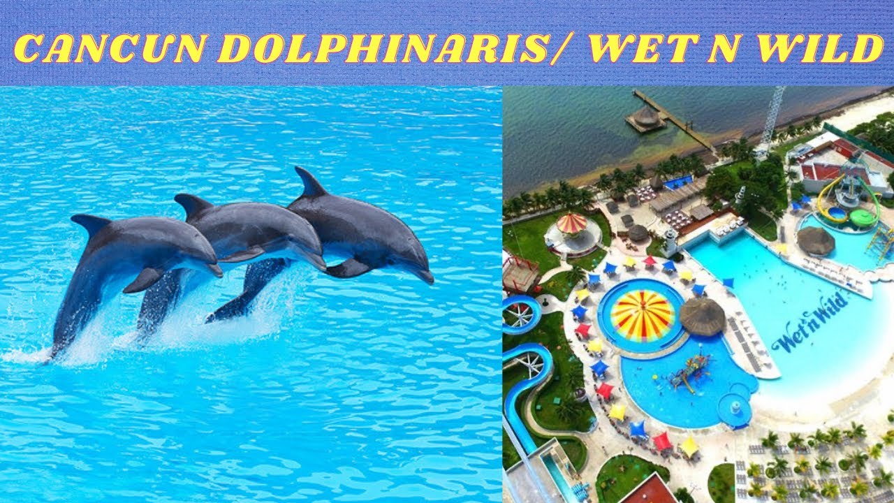 DOLPHINARIS in Cancun Mexico | WET N WILD REVIEW 2022 | Adventura Park ...