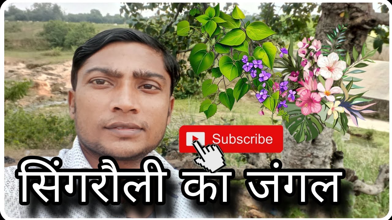 singrauli ke jungle 👈 Singrauli tourist place.singrauli station.Tourist ...