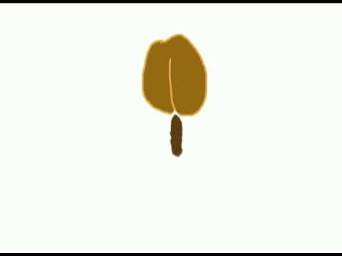 The Pooping Butt - YouTube