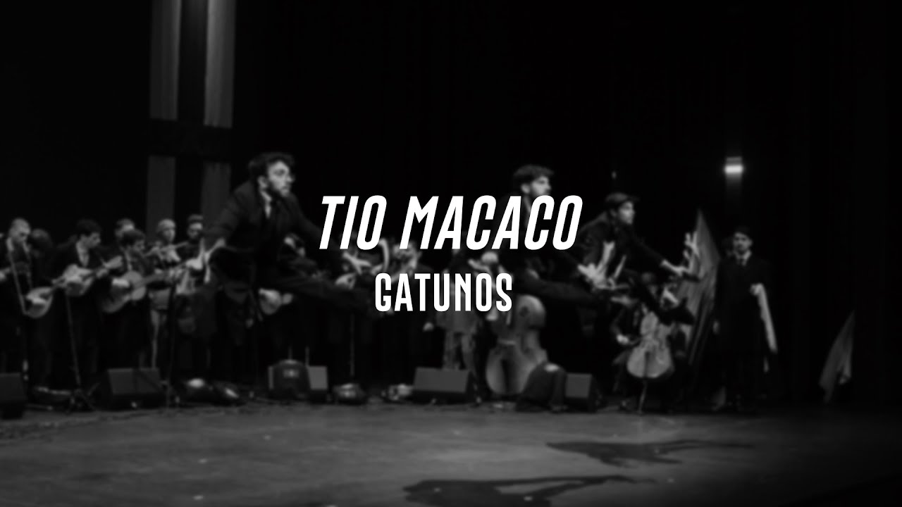 "Tio Macaco" - Gatunos | XIX Cidade Berço - YouTube