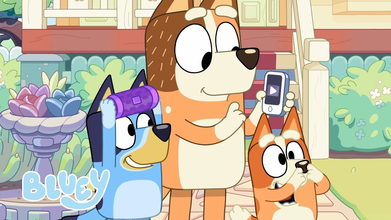 Bluey in Hindi | Dancing with the Heelers 🪩 | देखिये Hindi Cartoon for Kids 💙 🇮🇳 - YouTube