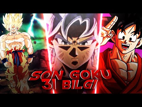 SON GOKU HAKKINDA 31 ILGINC BILGI!!