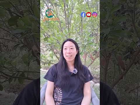 Rishikesh: Guest Review of Yan Cure Yuka Aota ji from Japan, #retreat #ayurveda #yoga