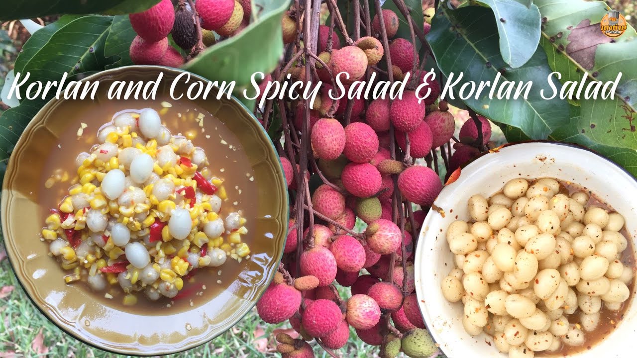 Harvest korlan from the forest, cook korlan and corn spicy salad ...