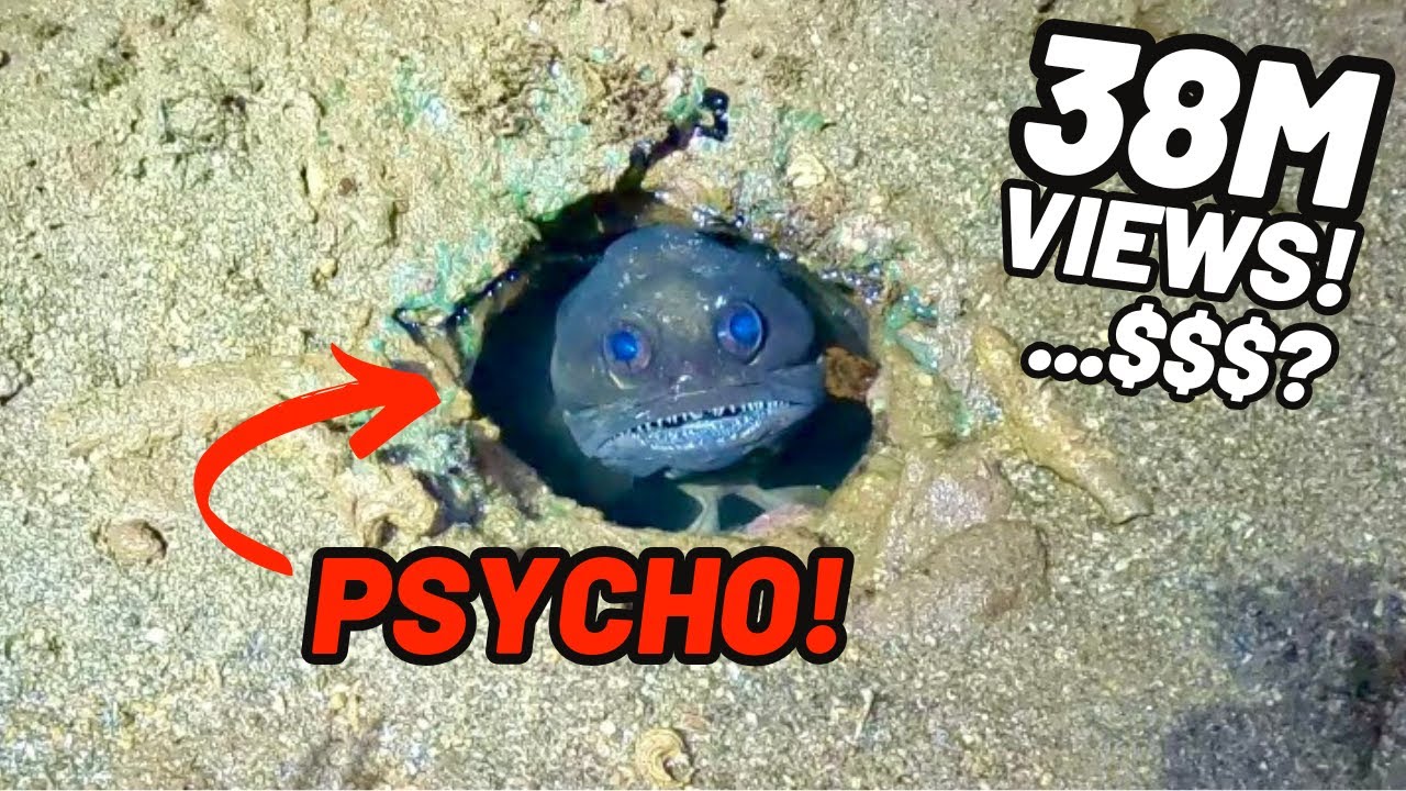 PSYCHO FISH REEL || The FULL story + how much money a viral video makes ...
