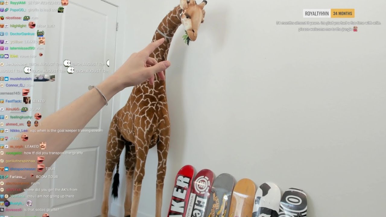 xQc shows his New Stream Setup - YouTube