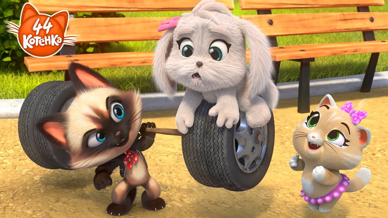44 Котёнка | Cамый сильный кот Игорь! - YouTube