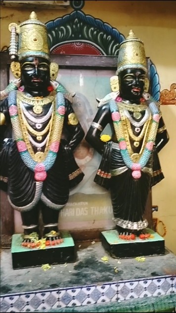 Bithal Panduranga 💖 💫🥰 #radhapandrinath #gopinath #horibol #iskcon # ...