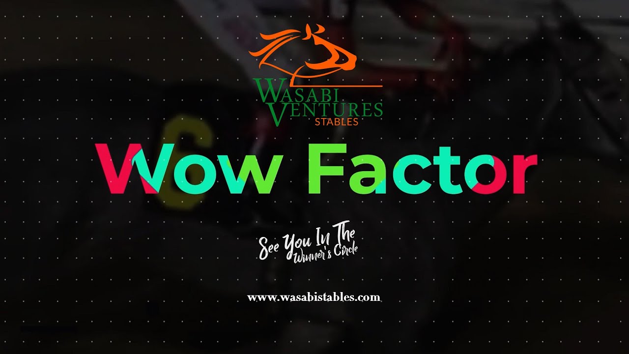 Wow Factor Wins in Convincing Fashion at Penn National - YouTube