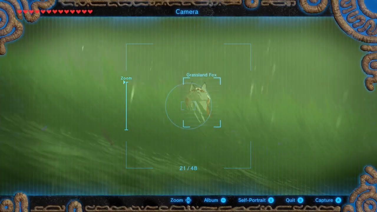 Taking a picture of a cute fox (Legend of Zelda BOTW) - YouTube