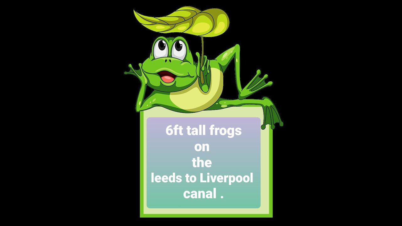 6 FT Tall Frogs On The Canal - YouTube