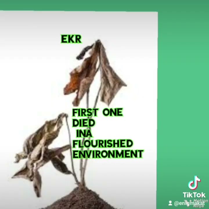 Life analogy short story anything is possible with determination no ...