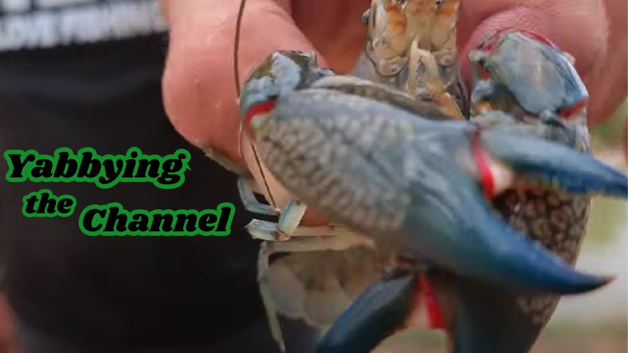 YABBYING the IRRIGATION CHANNEL and FAMILY FARM DAM - YouTube