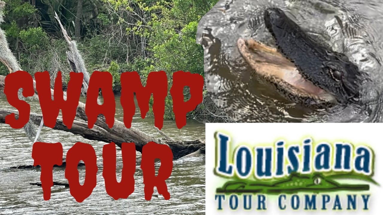 Swamp Tour! Louisiana Tour Co We Saw Gators! - YouTube