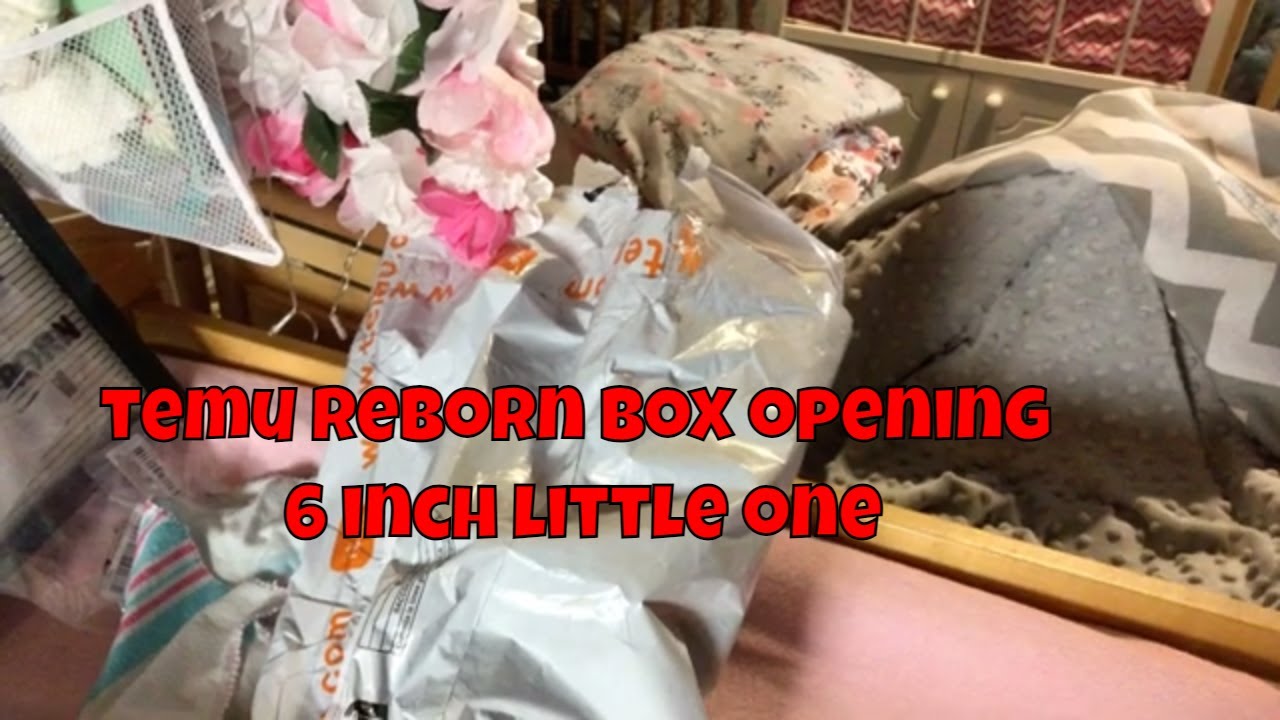 temu reborn box opening 6 inch little one - YouTube