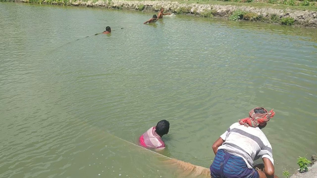 Net Fishing - Fish Catching using By Net in The Beautiful Pond - YouTube