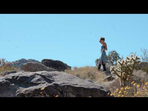 Brooke Lee - Just Because (Official Lyric Video)