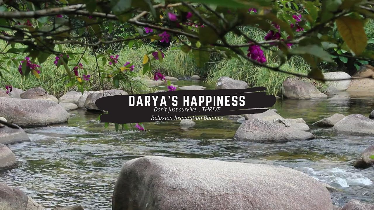 Waterfall & Rain Sounds / Ambient Music / Calm Your Mind / Zen Music ...