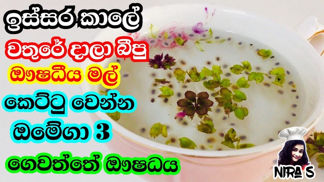 ඉස්සර කාලේ අම්මලා වතුරට දාලා තියලා බීපු ඖශධීය මල් වර්ගය | MADURUTHALA ...