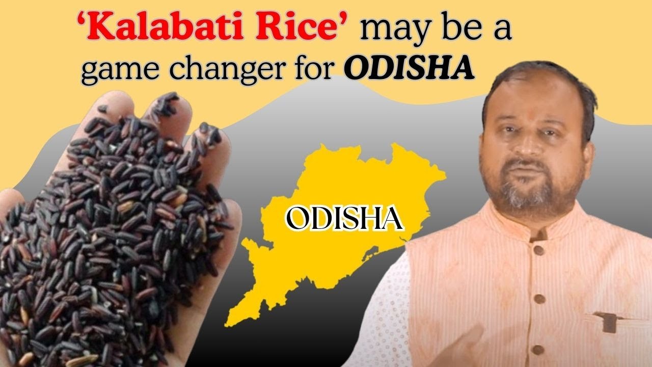 Government must explore more Production and Distribution of 'Kalabati ...