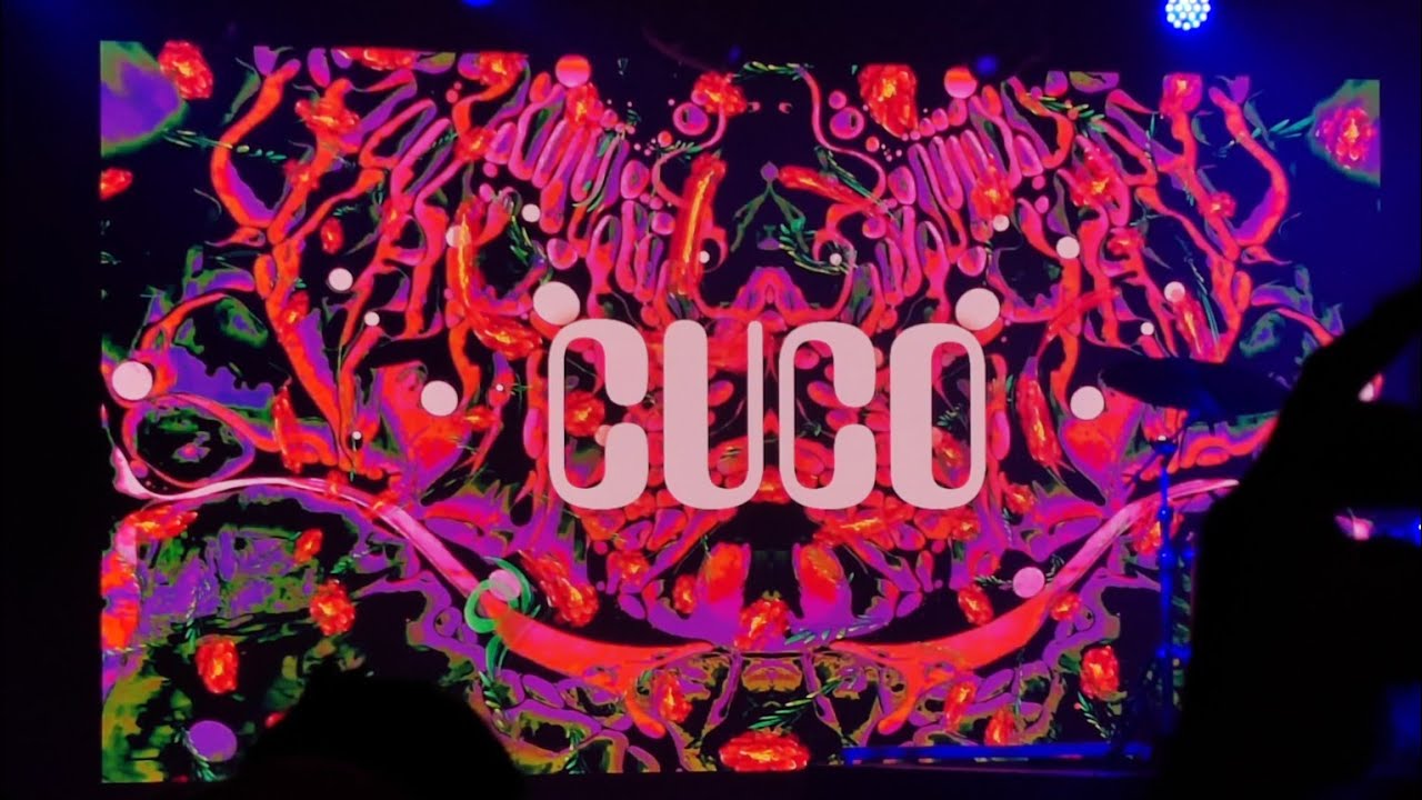 Cuco concierto 04 noviembre 2023 - YouTube