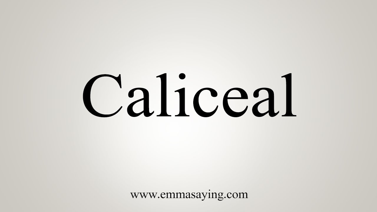 How To Say Caliceal - YouTube