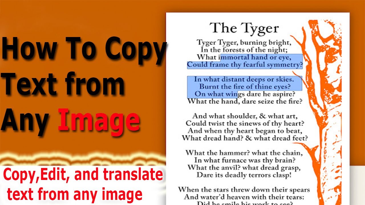 How To Copy Text From Any Image YouTube How To Copy Text From Any Image YouTube