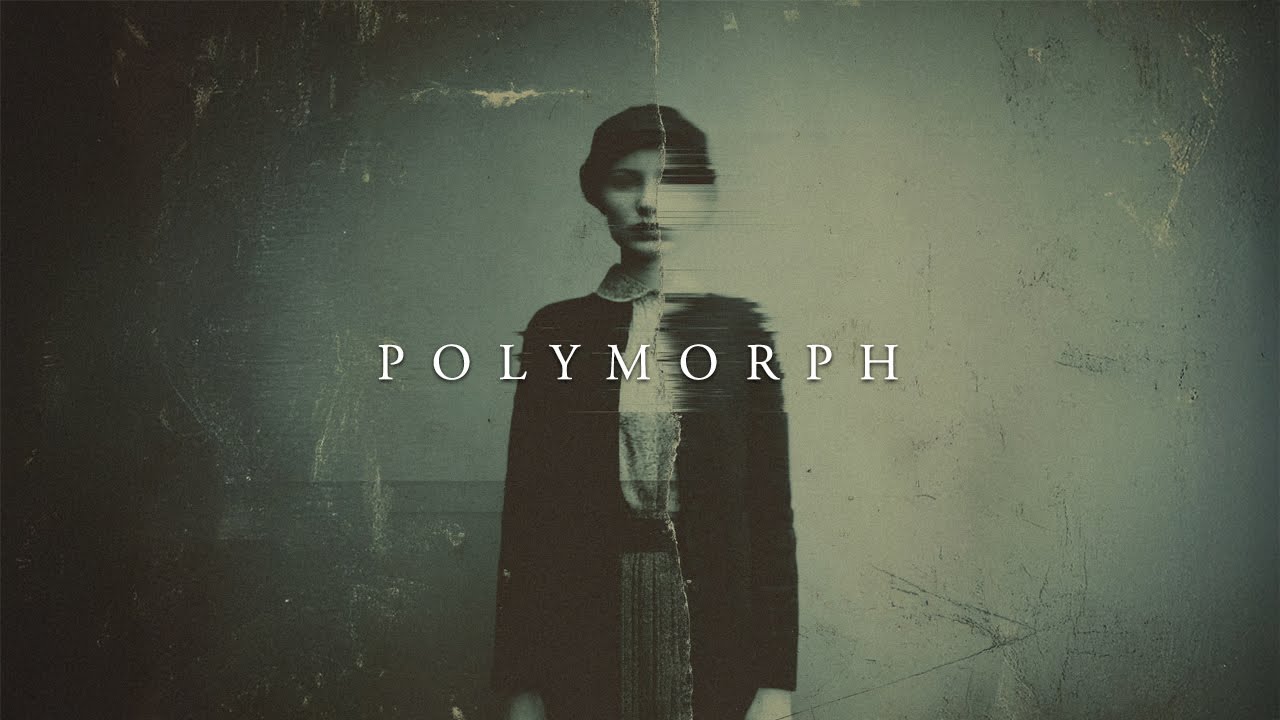 POLYMORPH - The Art of Transformation in Silence - YouTube
