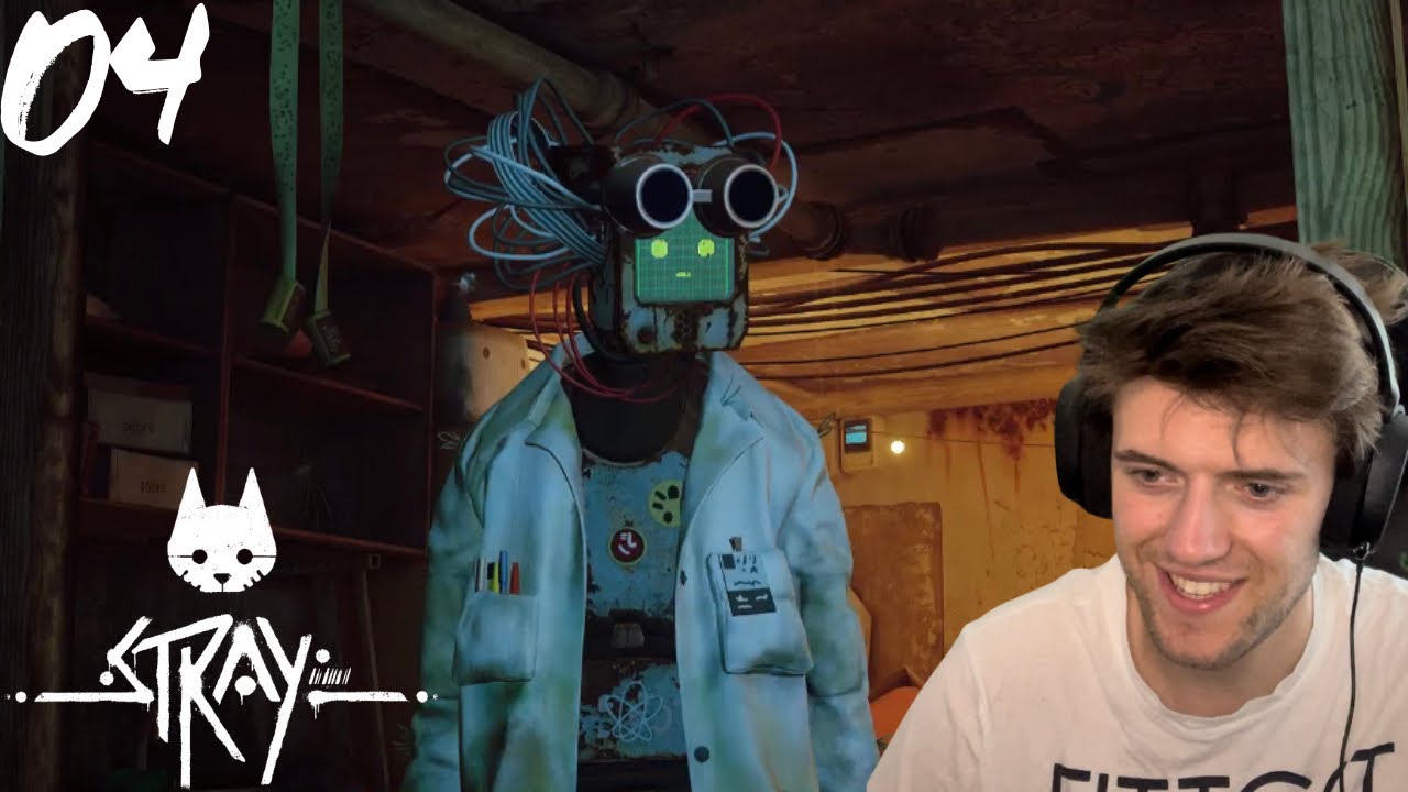 DOC?!? | Stray | Part 4 - YouTube