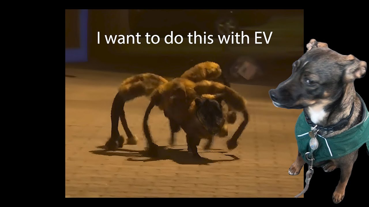 EV SPIDER DOG COVER - YouTube