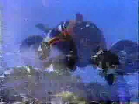 Divatox Commercial - YouTube