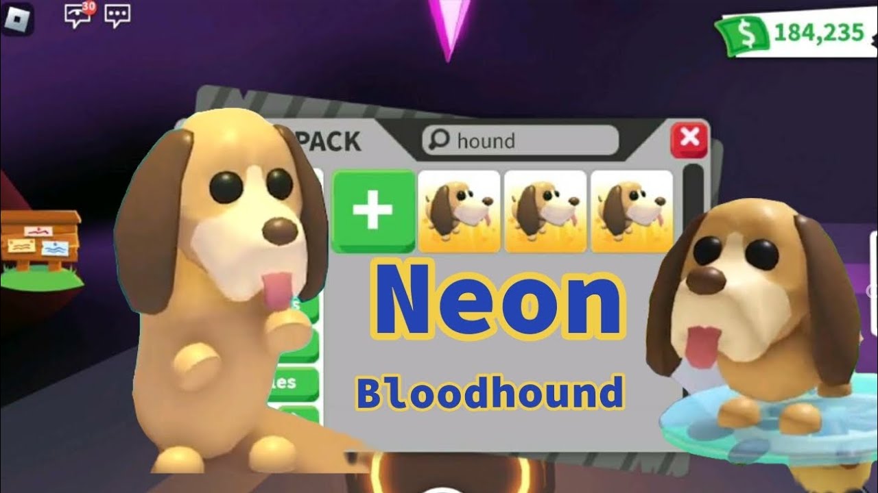 Making Neon Bloodhound Adopt me 2023 Update - YouTube