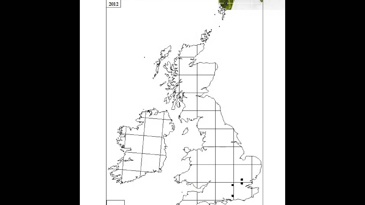 Distribution Of Box Tree Moth at Alyssa Dalziel blog