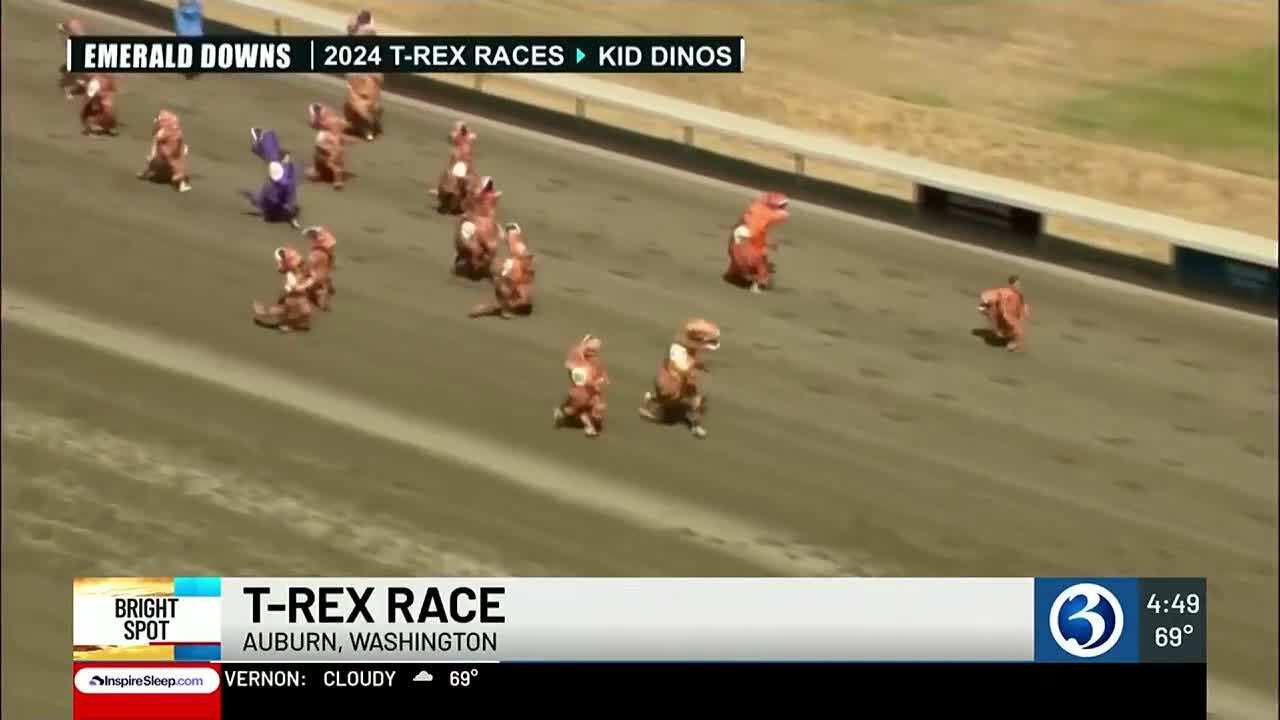 BRIGHT SPOT: T-Rex Race - YouTube
