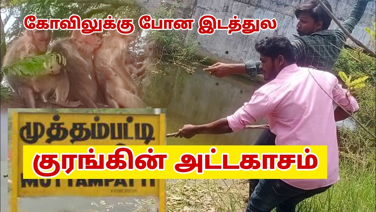 muthampatti hanuman temple / kurangin Attakasam / Por ama por - YouTube