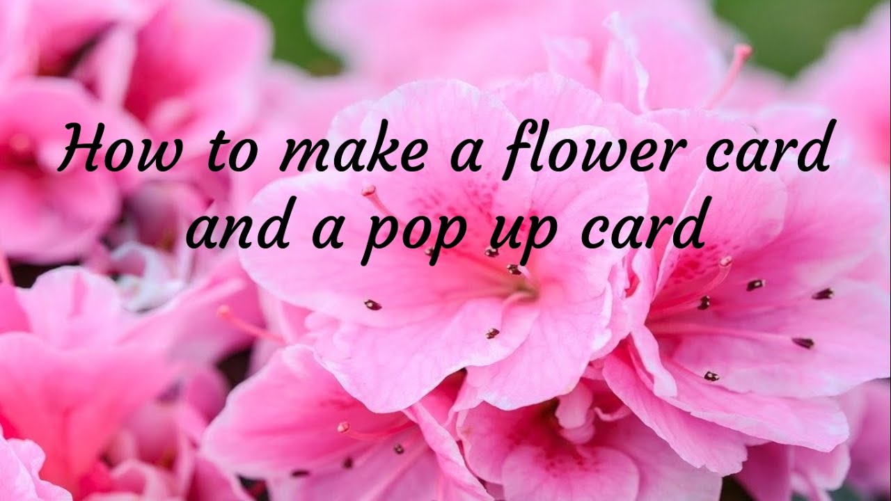 How To Make A Flower Card And A Pop Up Card In One YouTube How To Make A Flower Card And A Pop Up Card In One YouTube