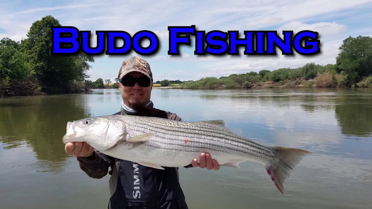 Budo Fishing!! - YouTube