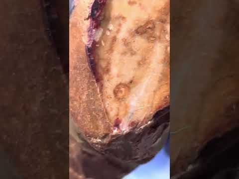 Meteorites we love them - YouTube