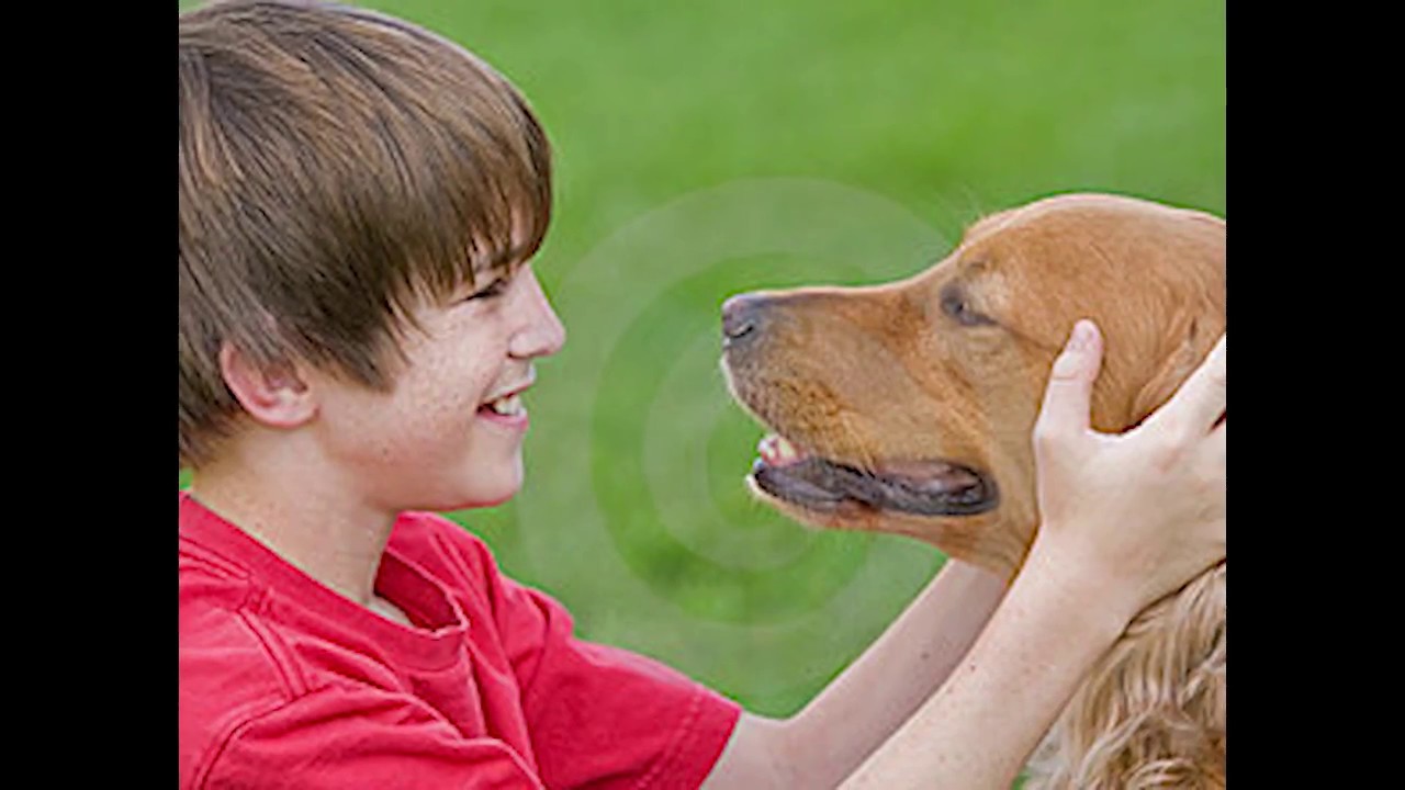 Emotion Nick Ricci - YouTube