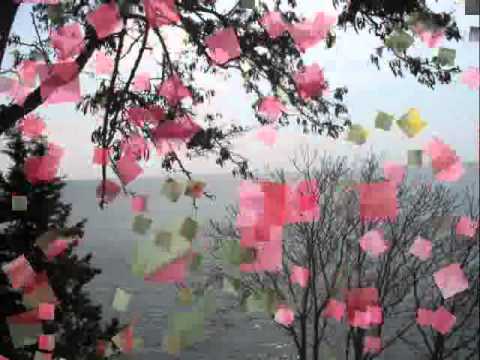 TEKİN KUMAS - Allı Yazma Başında.wmv