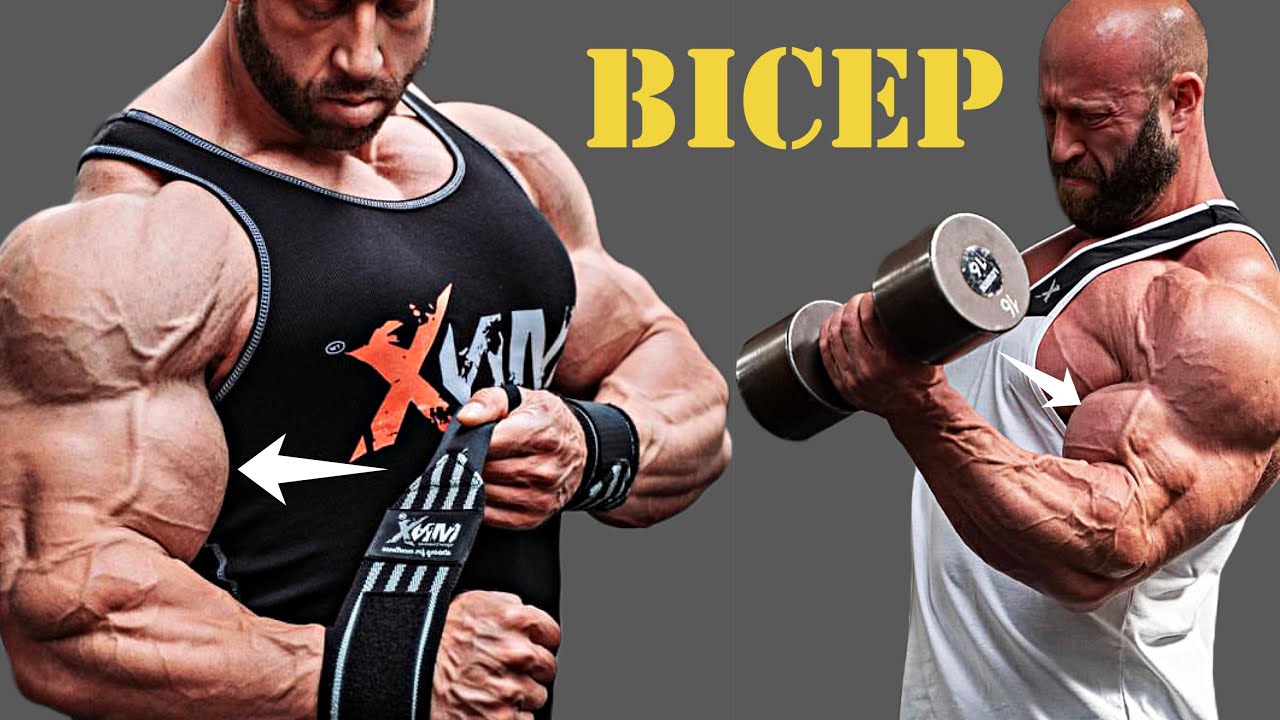 6 BEST BICEP EXERCISES FOR MASSIVE ARMS💪 - YouTube