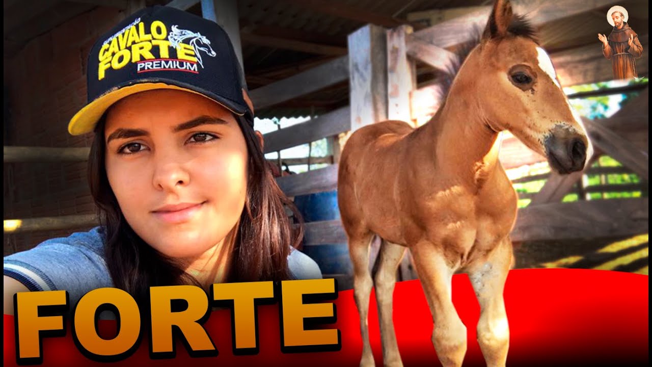 Potro está ficando FORTE! - YouTube