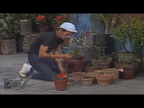 Chaves - As Pessoas Boas Devem Amar Seus Inimigos - (1978) - Parte 1 - Alta Qualidade HD