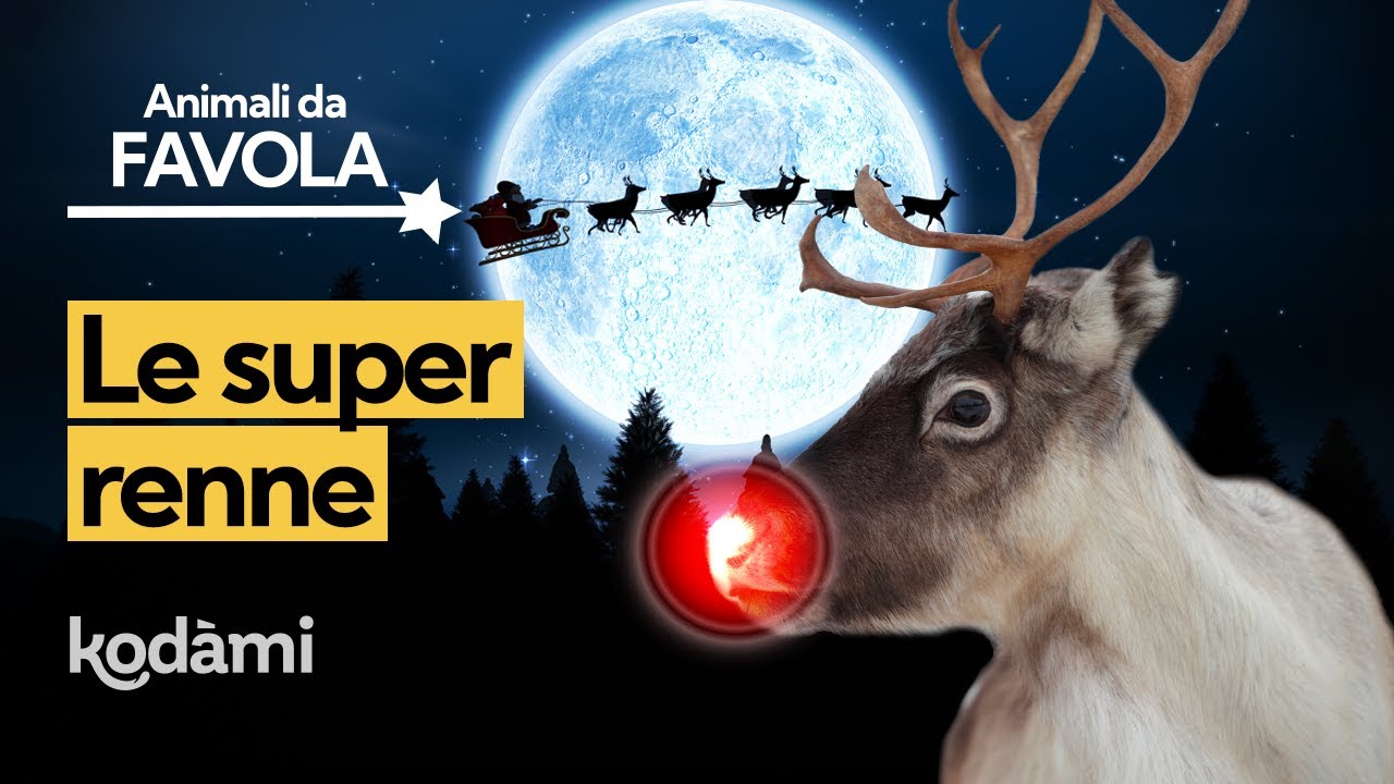 La storia di Rudolph, la renna di Babbo Natale dal naso rosso - YouTube